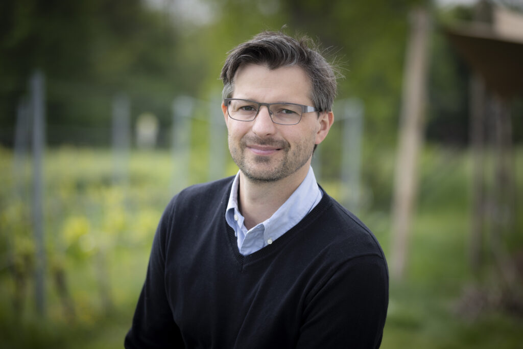 Governance – Mwingz